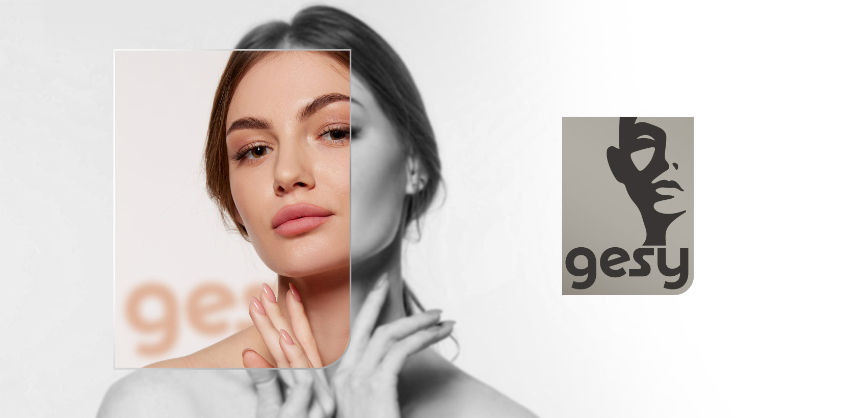 Gesy Aesthetics – Paperpa Art